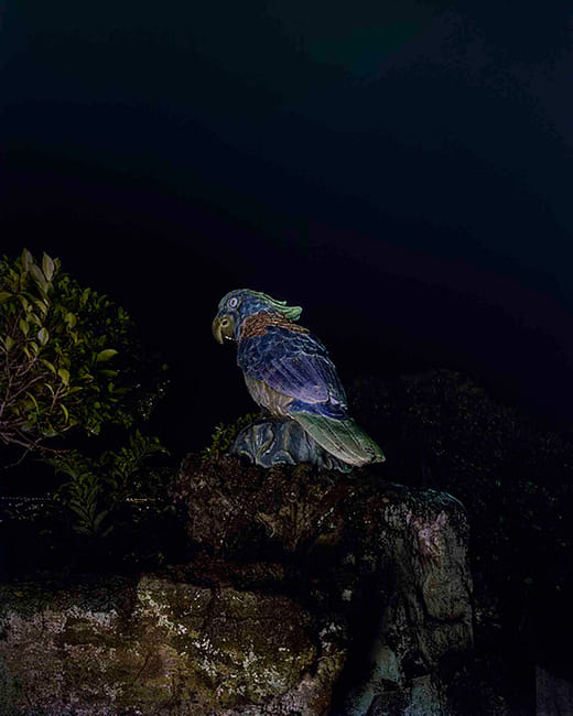 幽靈公園－鸚鵡 The Ghost Park–Parrot｜禽獸不如－2020台灣美術雙年展｜ARTOGO 帶你看展